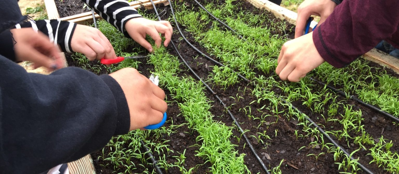 Sprout School Launch – Future Generations Voices